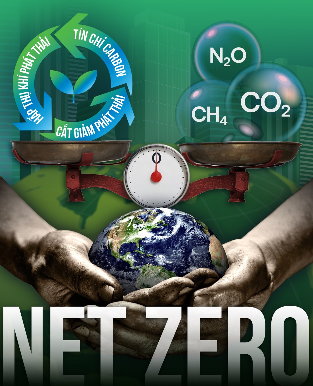 What is Net Zero and where is Vietnam in this race? - BIOMASS VINAGREENS